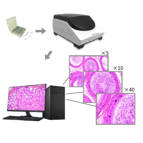 J-Scope Digital Pathology Slide Scanners System